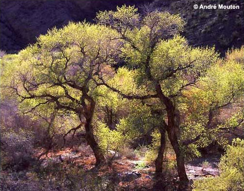 Walker Cameras | Testimonials - Andre Mouton